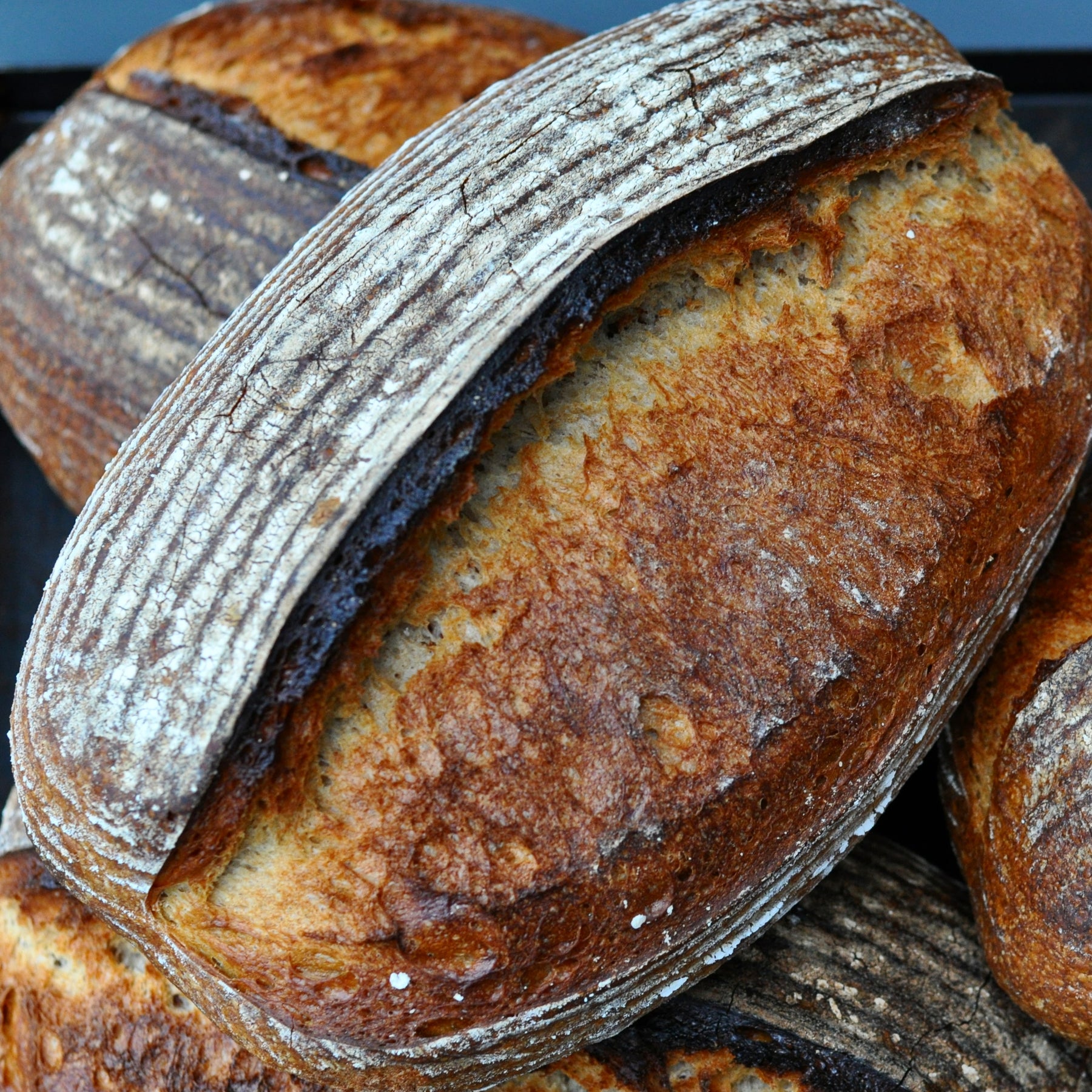 Bread - Jason Bakery